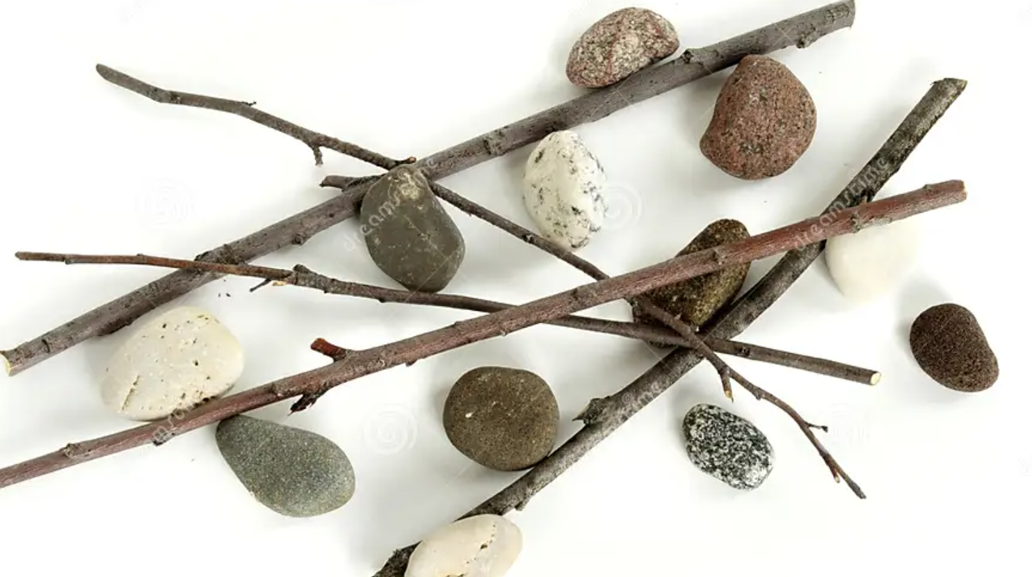 Words Matter: Sticks and Stone - Baby Science